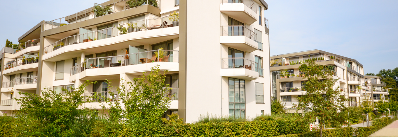 Loi habitat dégradé et emprunt collectif